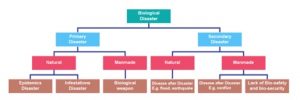 Biological Disaster: UPSC Note on Biological Disaster
