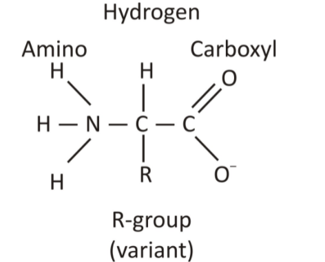 JEE 2022: Chemistry- Detection of the Following Functional Groups