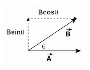 Finding clear ideas on multiplication of vectors.