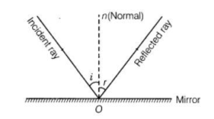 Notes on LENS RAY OPTICS