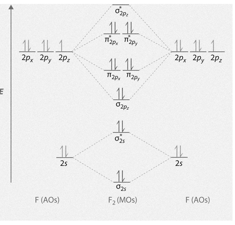 NEET UG : FLUORINE