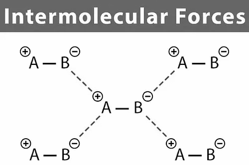 Get to know about the intermolecular forces