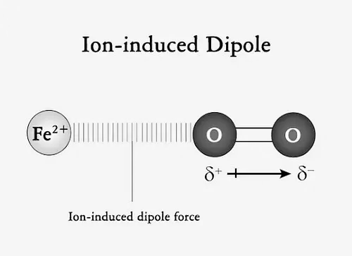 Get to know about the intermolecular forces