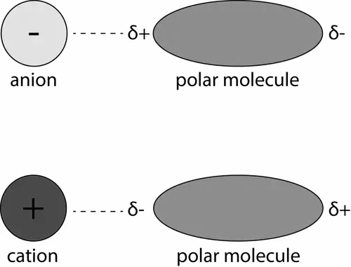 Get to know about the intermolecular forces