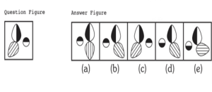 Learn the concept of mirror image