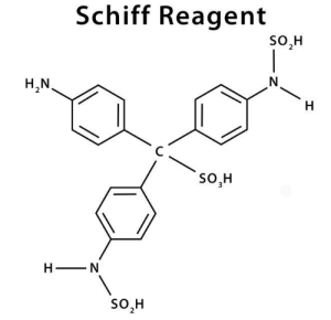 Notes on Schiff Reagent and Test
