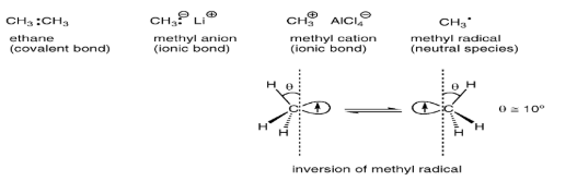 Understanding More on Types of Free Radicals