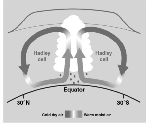 Notes on Trade winds
