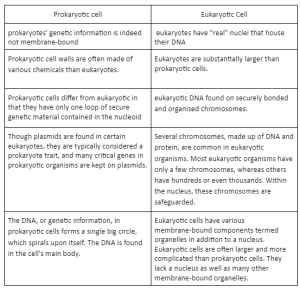 Notes on Structure of Prokaryotic and Eukaryotic Cells