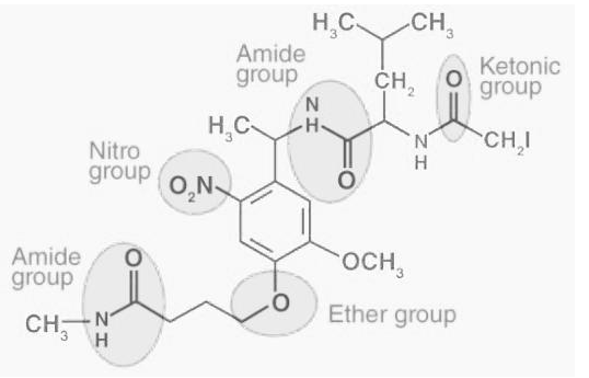 Functional Groups