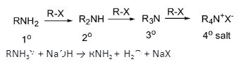 Methods of Preparation of Amines