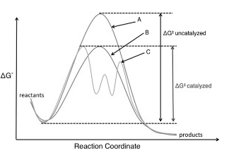 Heterogeneous Catalysis