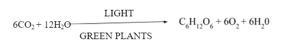 Photosynthesis