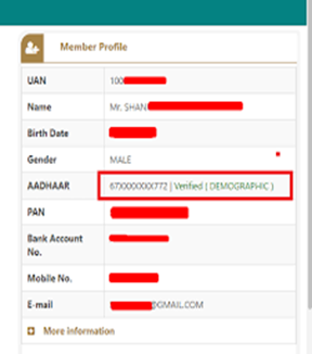 UAN Login Portal - Everything You Need to Know!