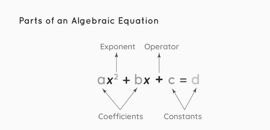 Algebraic Equation
